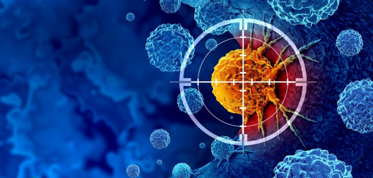 Cancer Screening Guidelines | Early Cancer Detection