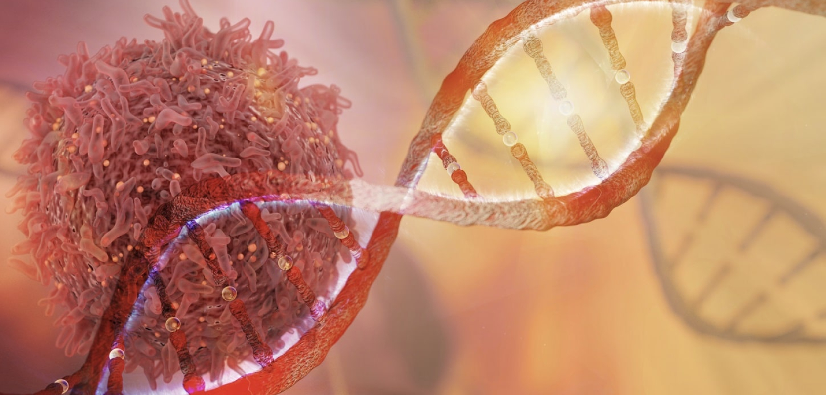 Genetics and Hereditary Cancers | Personalized Oncology